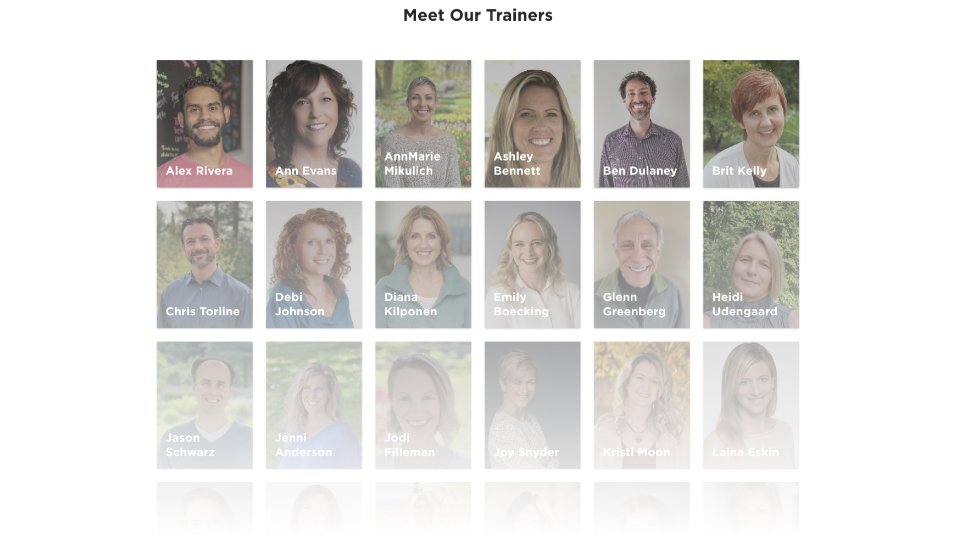 IMS - Power of Vision